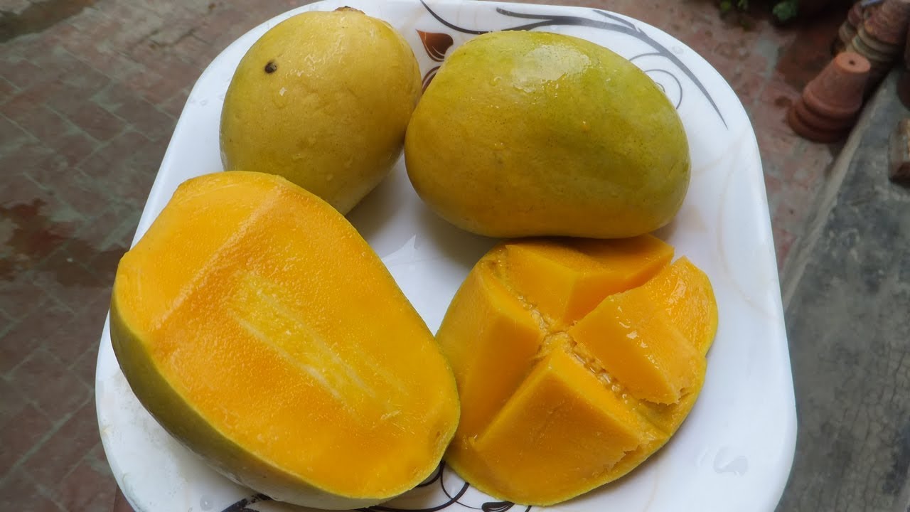 Mangoes, mangoes everywhere… - We live in a world which is a haven of ...