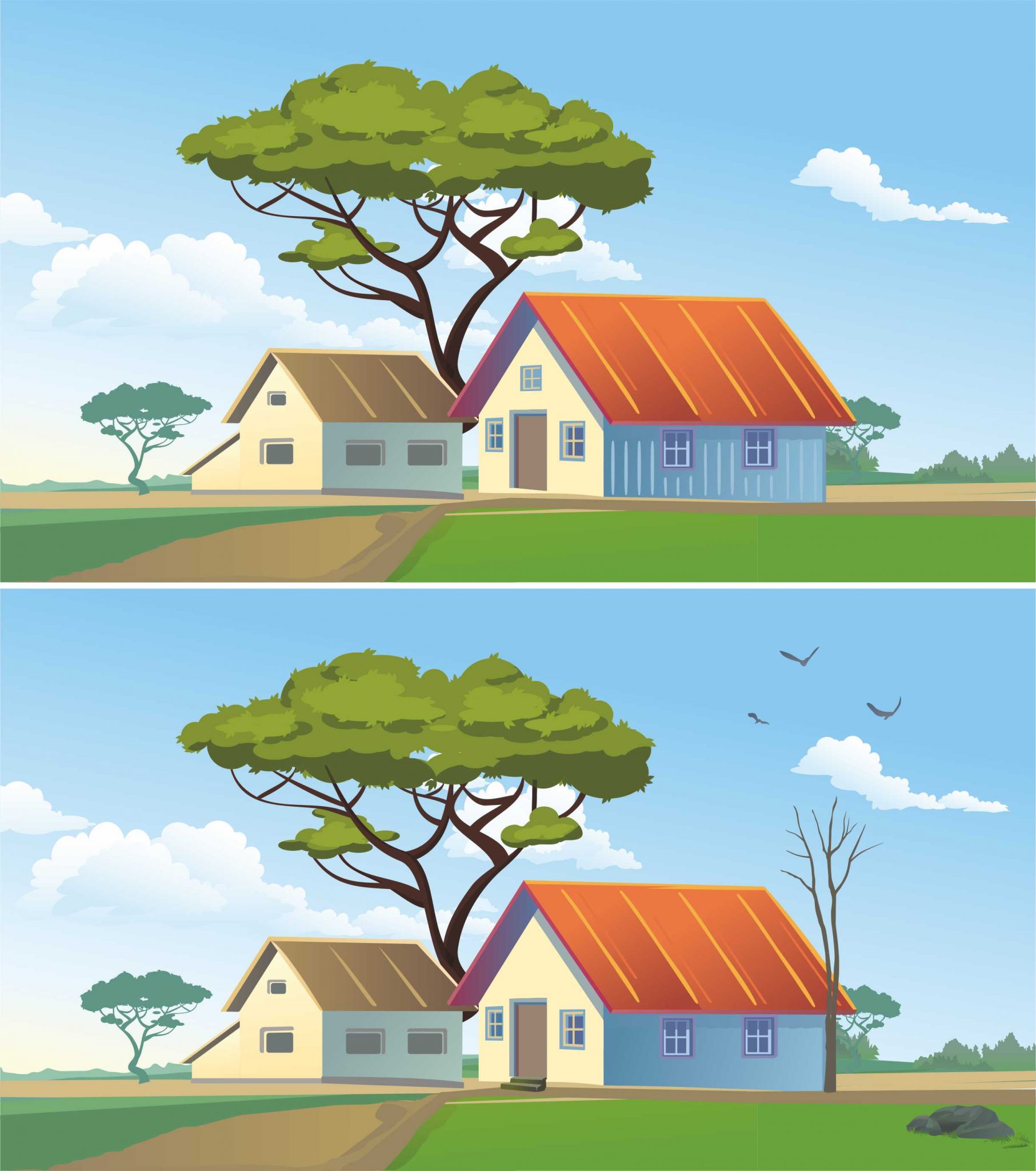 Spot the Differences #52 - Seniors Today