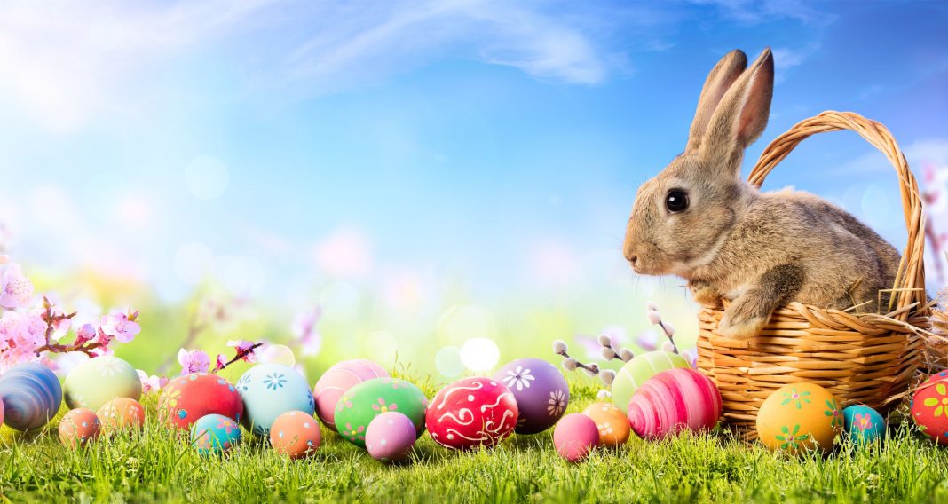 Easter: The Resurrection of Jesus renews our spirit - SeniorsToday