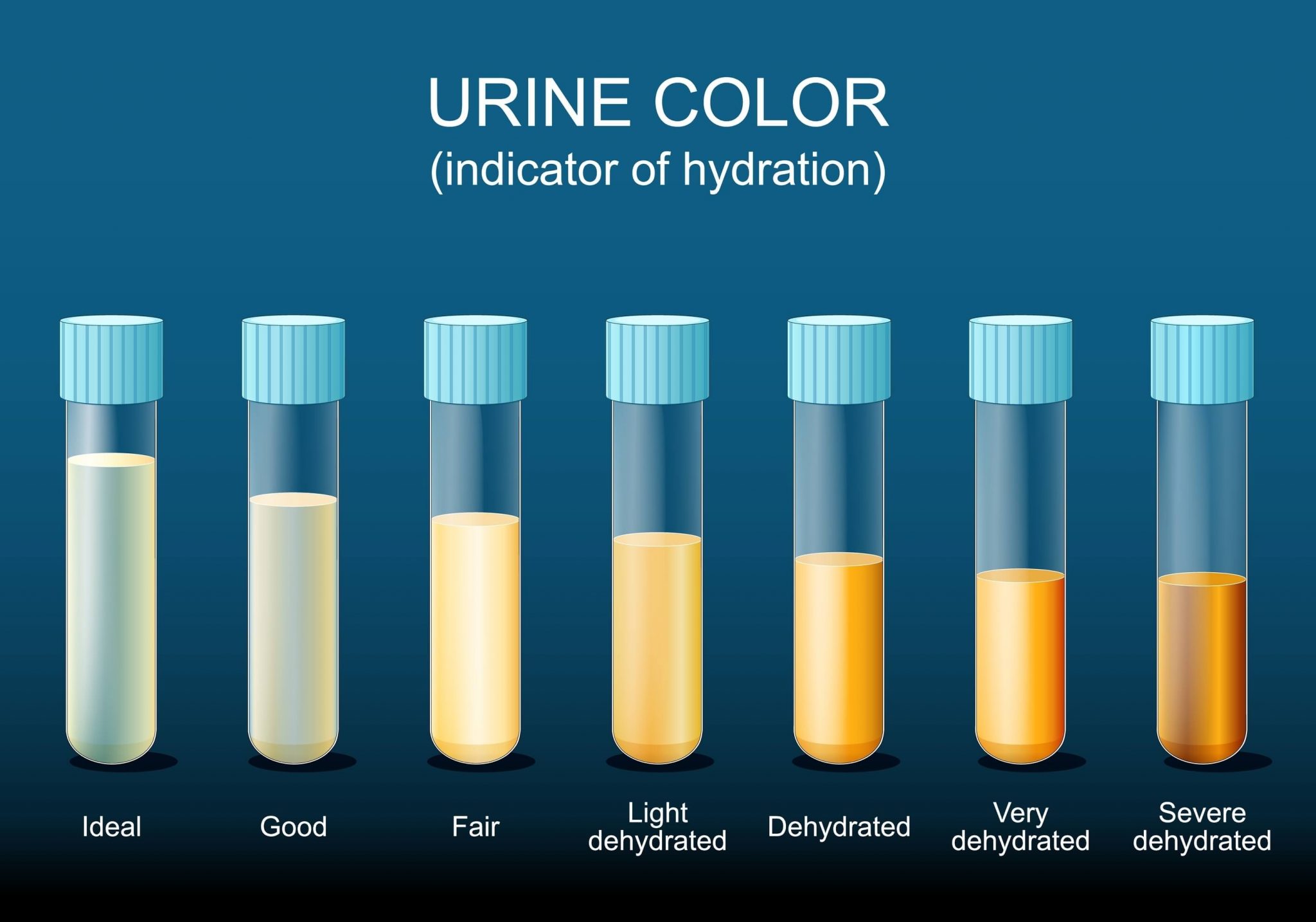 Is Your Urine Clear? Here’s What It Means for Your Health - Seniors Today