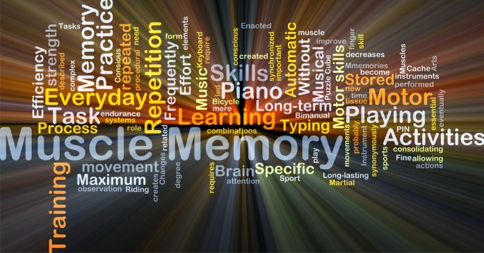 Muscle Memory: How Your Muscles Remember Strength - SeniorsToday